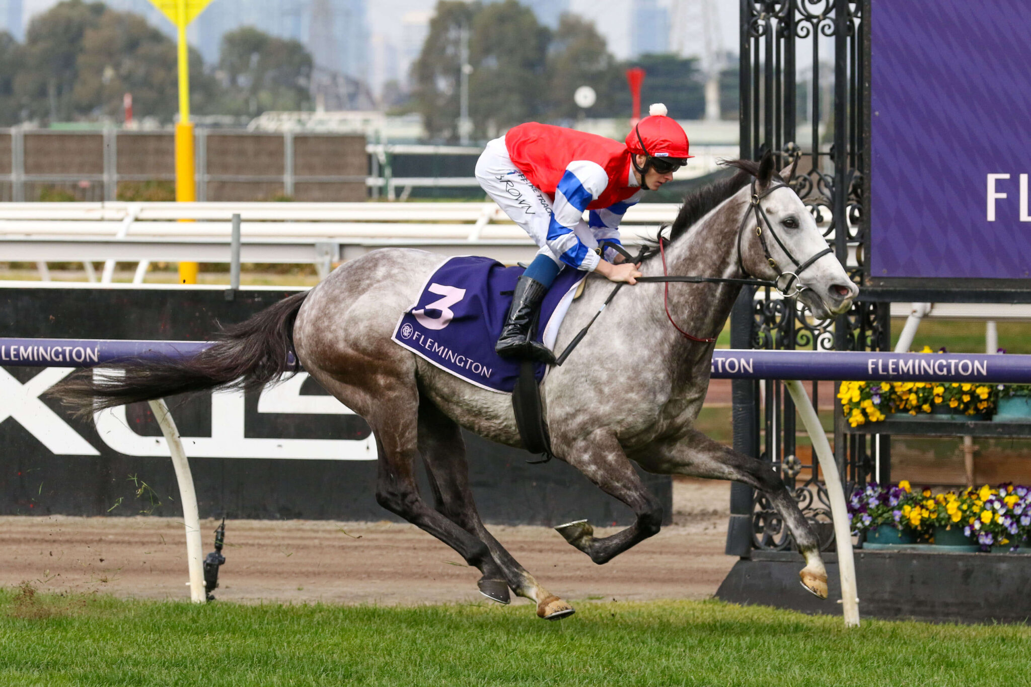 Ladbrokes Moonee Valley Gold Cup 2025 Field & Betting Update - races.com.au