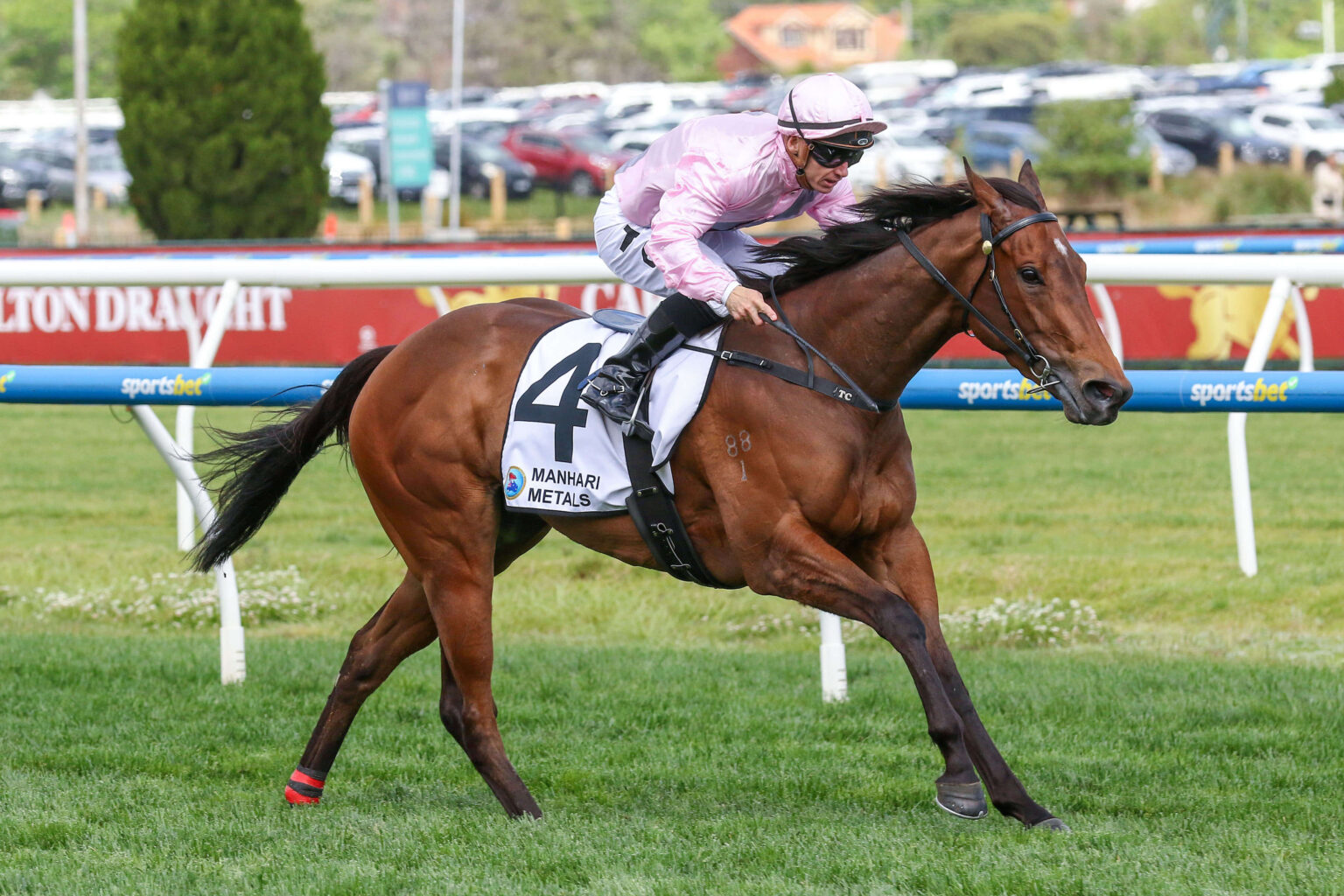 Too Darn Lizzie Wins Prelude Ahead of 2024 Thousand Guineas - races.com.au