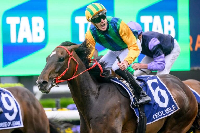 Ceolwulf Tops 2025 Chelmsford Stakes Field & Odds - races.com.au