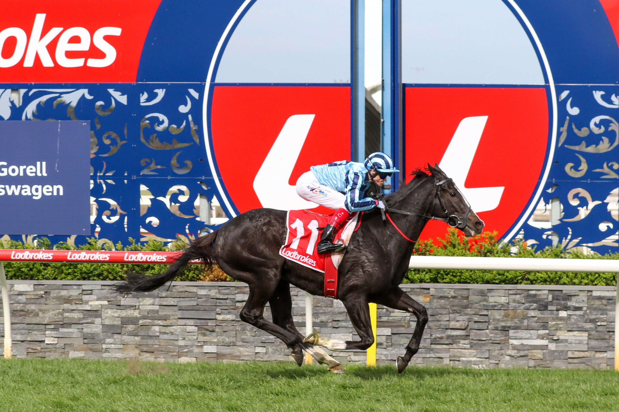 Melbourne Cup 2024 Tips & Best Bets on The Cup - races.com.au