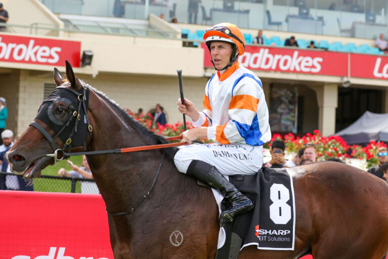 Cox Plate 2024 Field & Betting - Races.com.au
