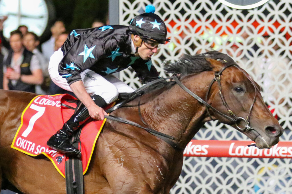 Melbourne Cup 2024 Tips & Best Bets on The Cup - races.com.au