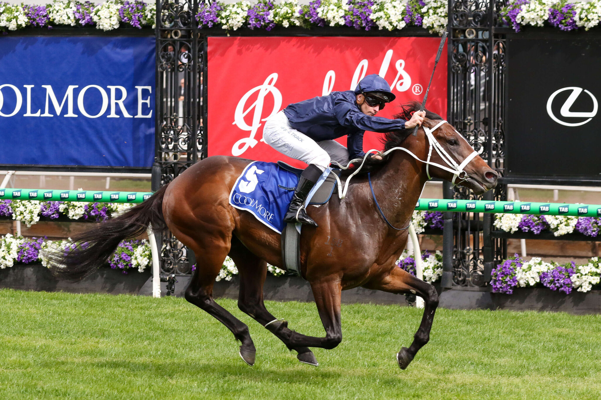 2024 Coolmore Stud Stakes Results: Switzerland Salutes by 2.75 Lengths ...