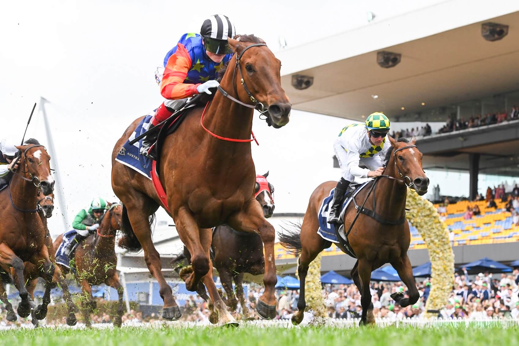 Bella Nipotina Wins 2024 Russell Balding Stakes - races.com.au