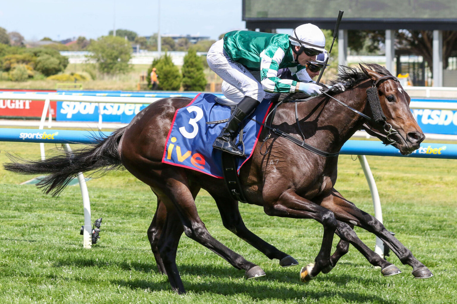 Treasurethe Moment Tops 2024 VRC Crown Oaks Field & Odds - races.com.au