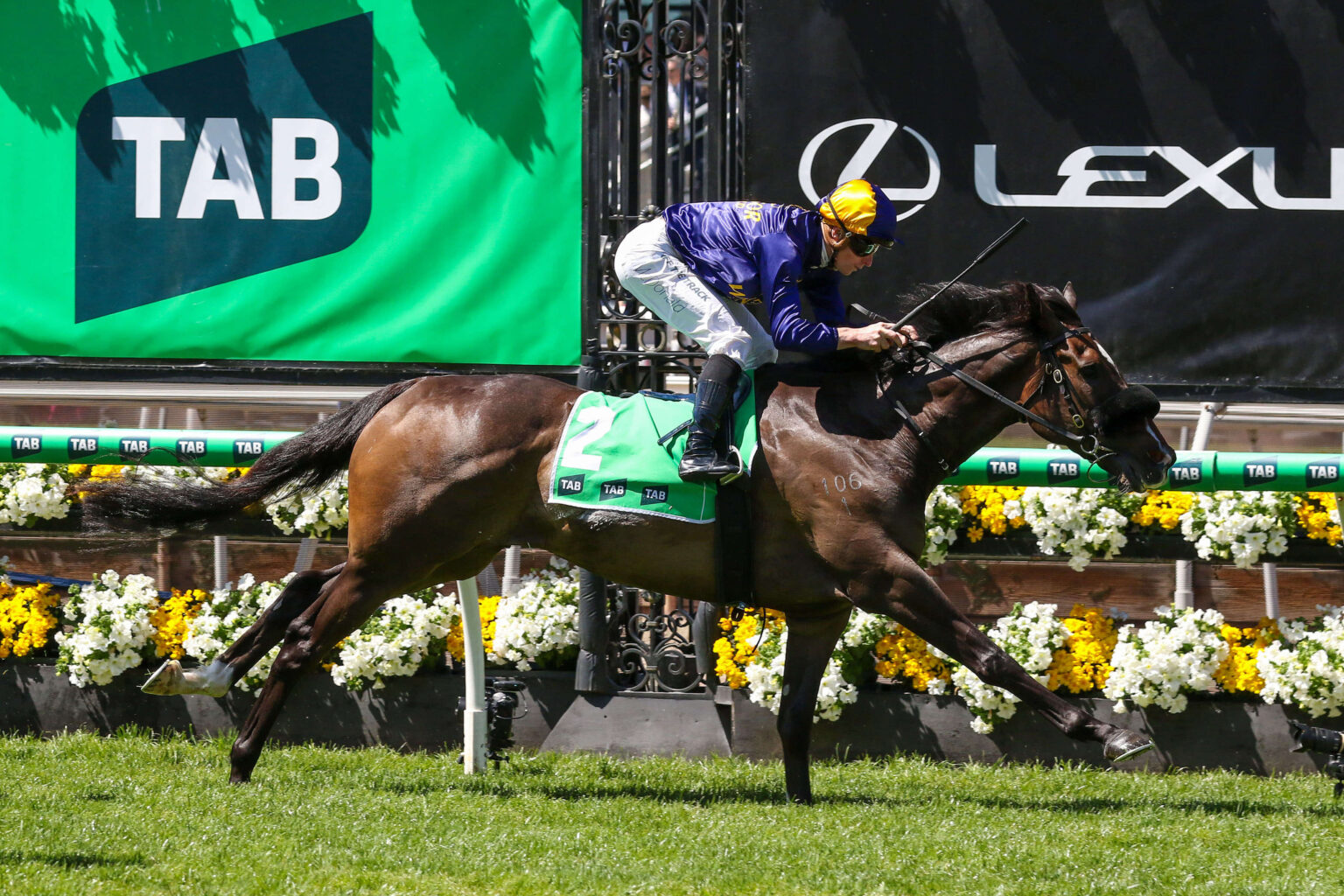 Melbourne Cup Day Results 2024: Melbourne Cup Winner Knight’s Choice at ...