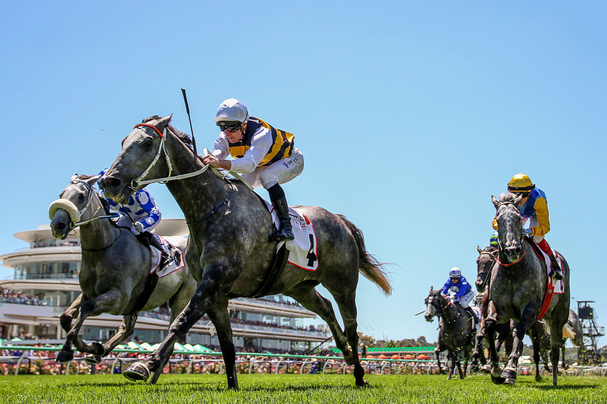 Melbourne Cup Day Results 2024: Melbourne Cup Winner Knight’s Choice at ...
