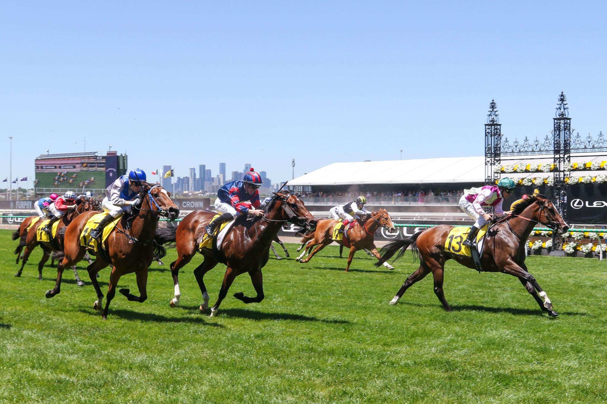 Melbourne Cup Day Results 2024: Melbourne Cup Winner Knight’s Choice at ...
