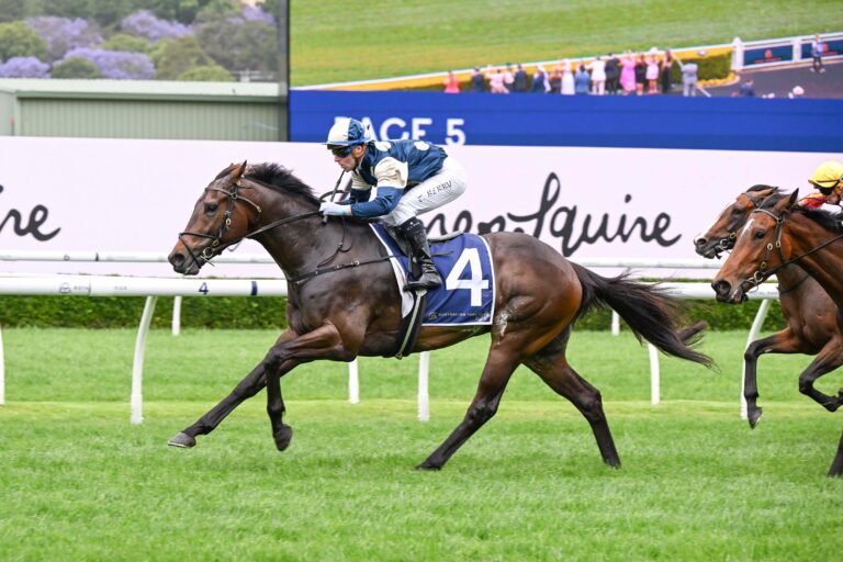 Caulfield Racecourse - Melbourne Racing - Victoria - Races.com.au