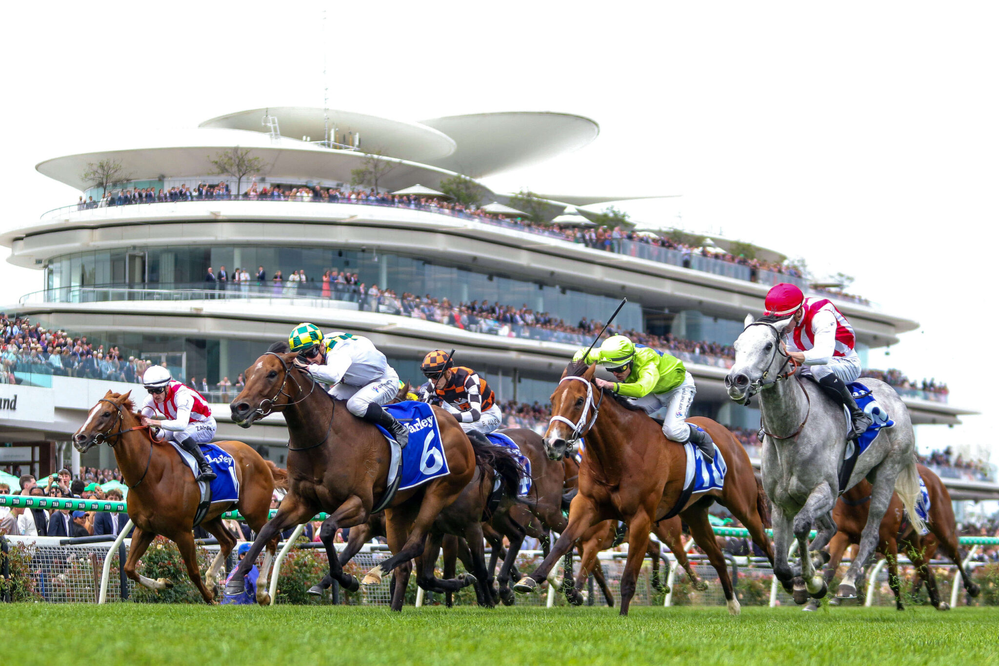 Doomben Racecourse - Brisbane Racing