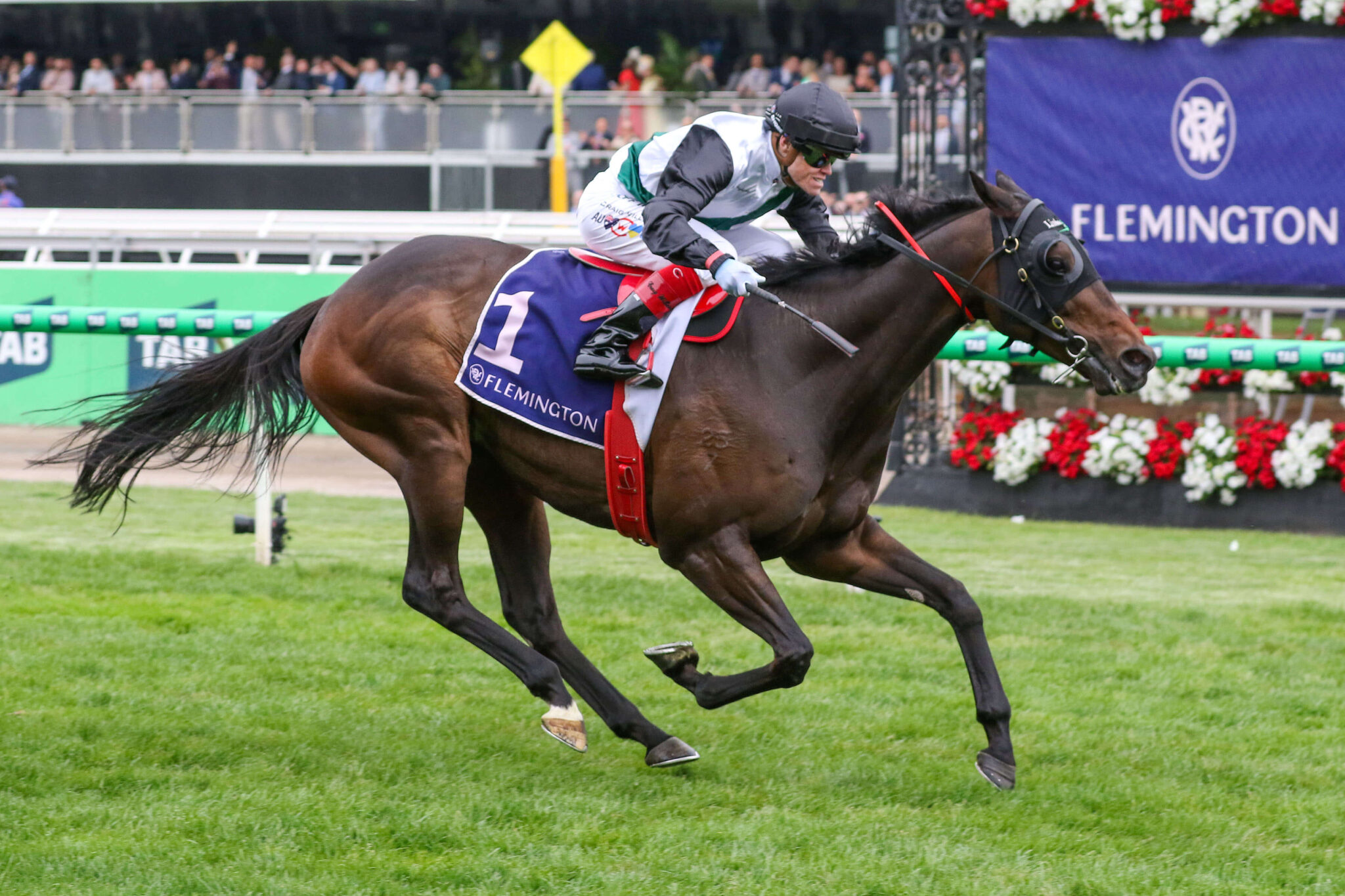 2024 Champions Mile Result: Mr Brightside Back to Winning Form! - races ...