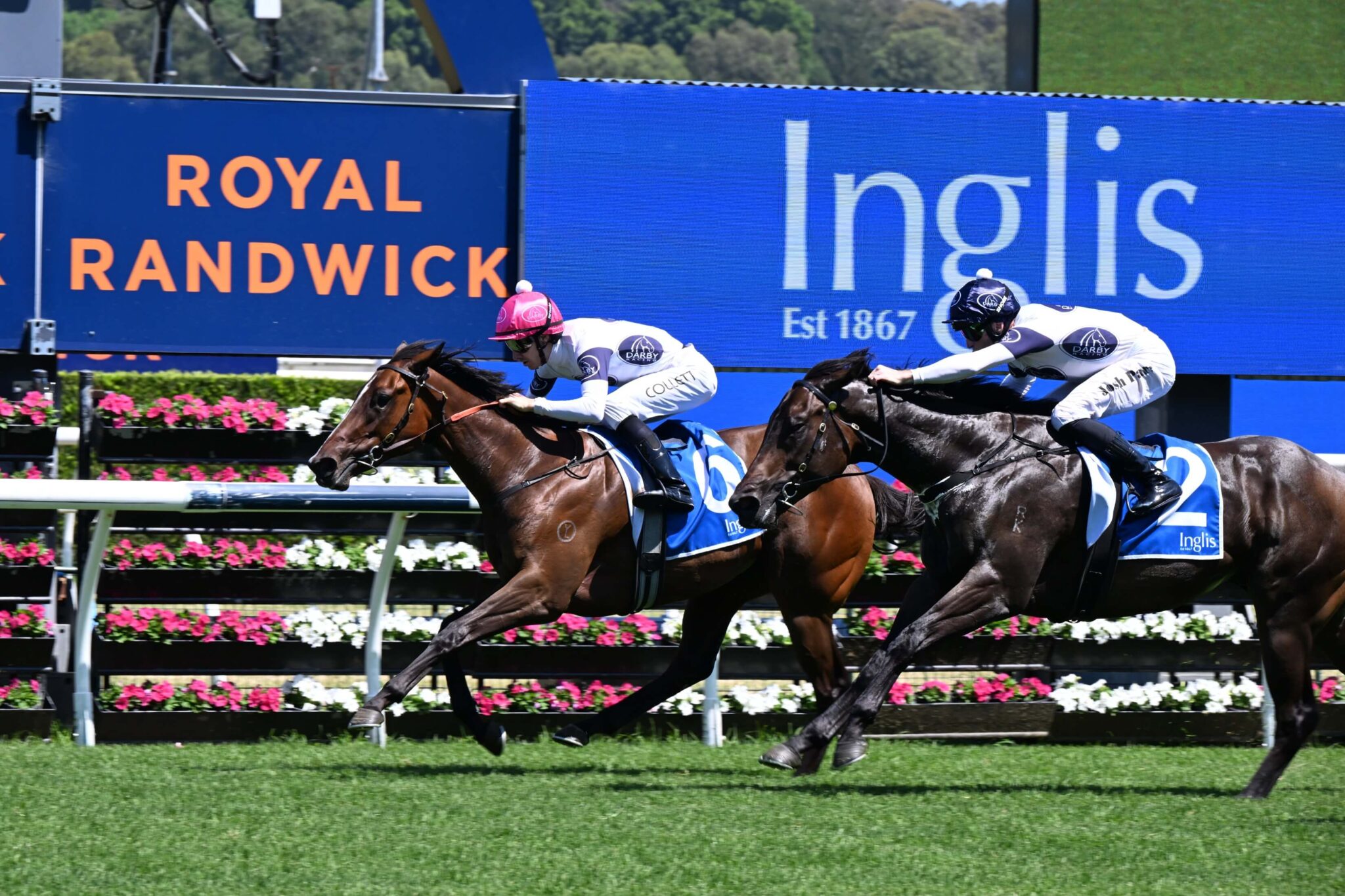 2025 Melbourne Cup Field & Nominations - Races.com.au