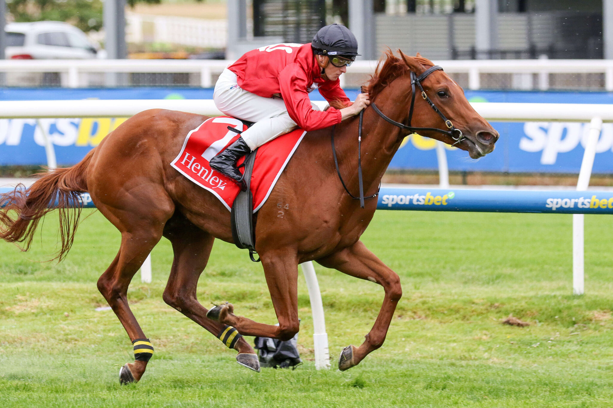 Gold Coast Magic Millions Racing Carnival - Races.com.au - Races.com.au