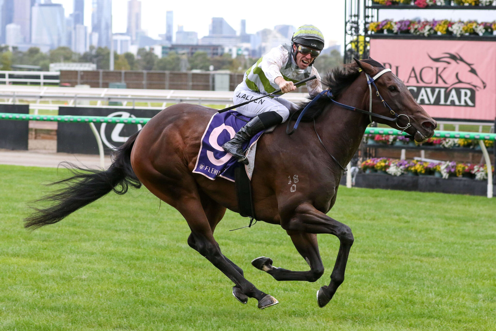 Black Caviar Lightning 2025 Results: Skybird, Stretan Angel 1-2 in ...