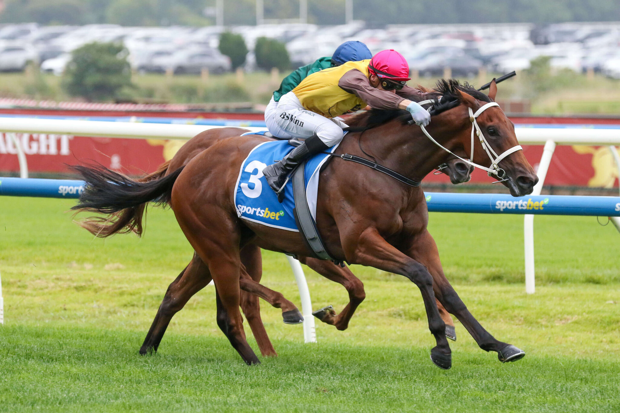 2025 Blue Diamond Stakes Field & Betting Update - races.com.au