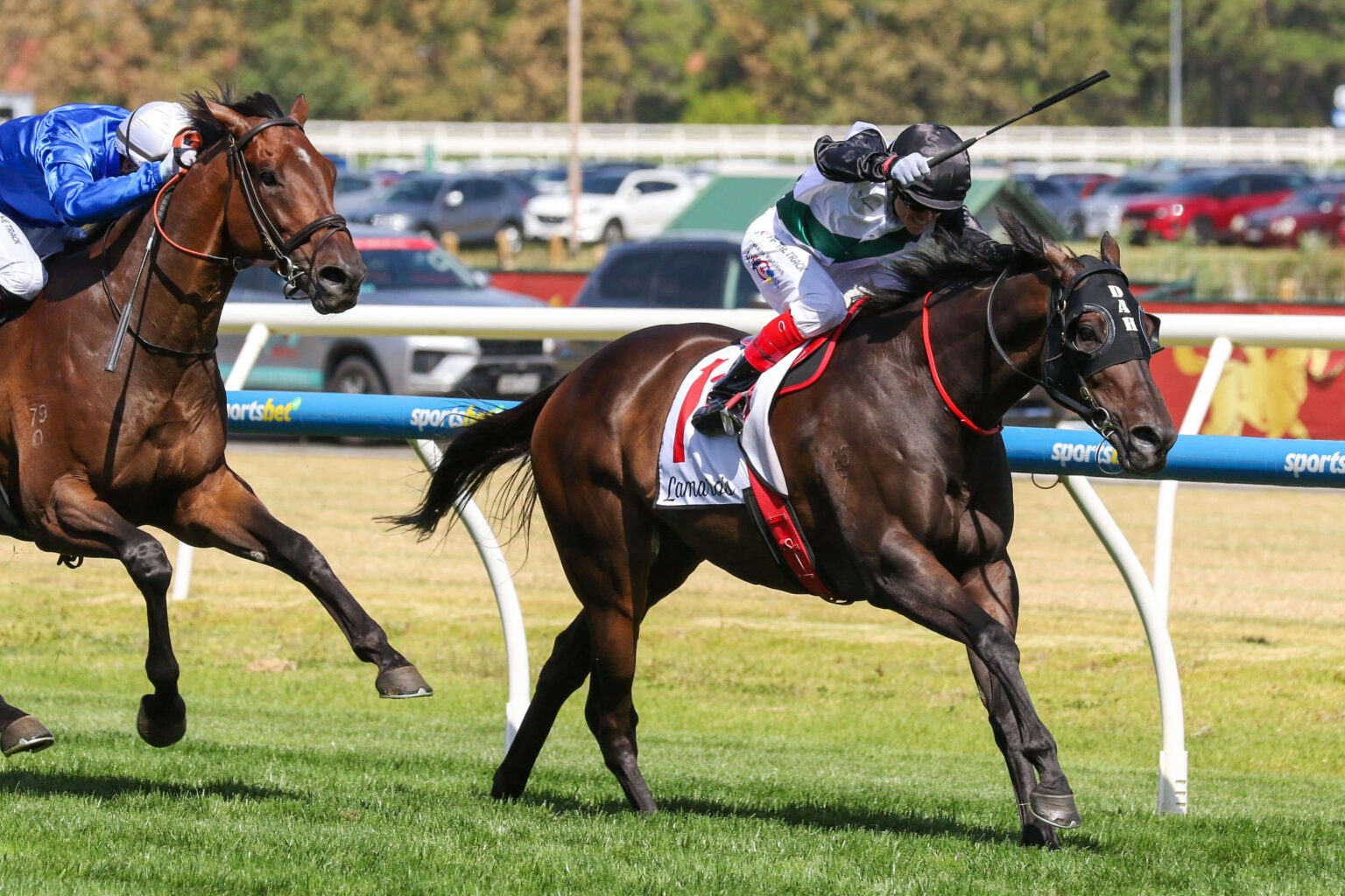 2025 Futurity Stakes Results: Mr Brightside Goes Back-to-Back - races ...