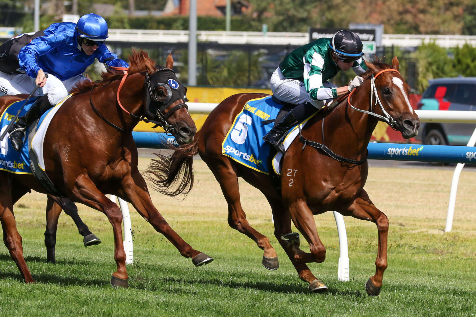 2025 Blue Diamond Stakes Winner Devil Night Scores Upset at 15/1 ...