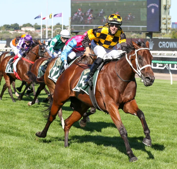 Group 1 Manikato Stakes Odds Update, Late Mail & Tips - races.com.au