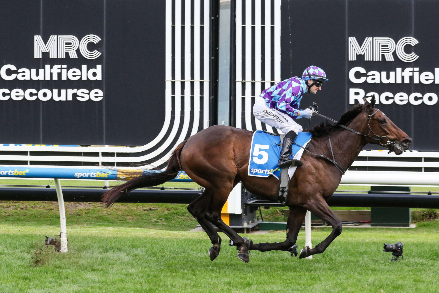 Pride Of Jenni Wins Peter Young; 2025 Queen Elizabeth Stakes Ultimate Target - races.com.au