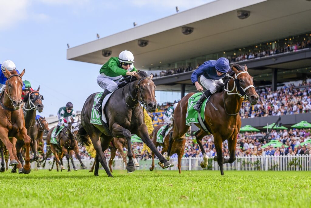 2025 Golden Slipper Results: Marhoona Beats Wodeton, Tempted Third ...