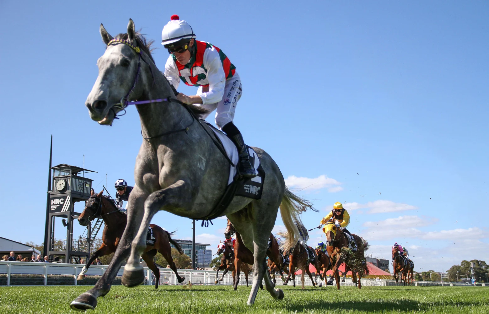 2025 Ladbrokes Queensland Derby Field & Odds Update: Statuario Narrow ...