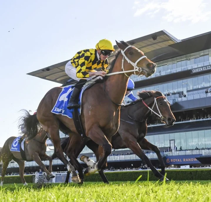 2025 Melbourne Cup Results & Winner- Races.com.au