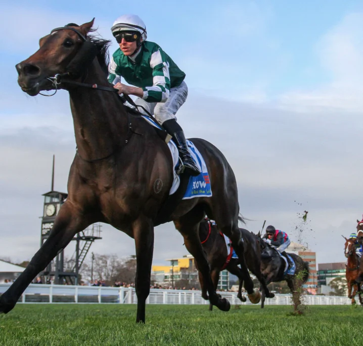 2025 Melbourne Spring Racing Carnival Race Dates - Races.com.au