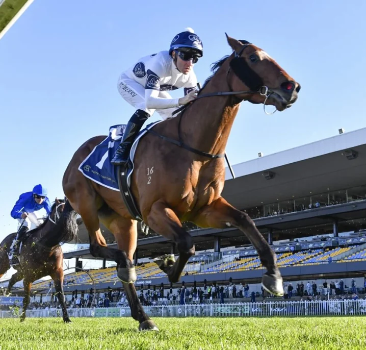 Australian Racecourses - Horse Racing Tracks - Races.com.au