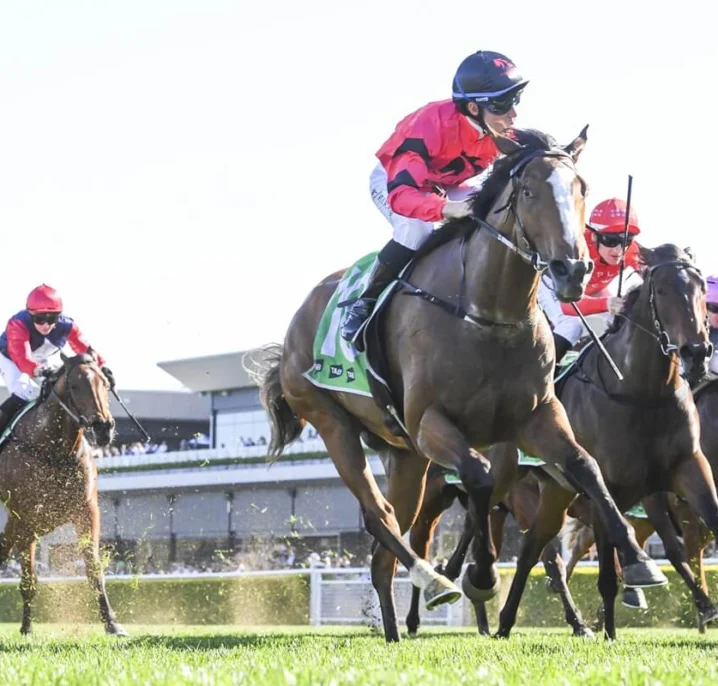 Wagga Racecourse - Murrumbidgee Turf Club - NSW Country Racing - Races ...