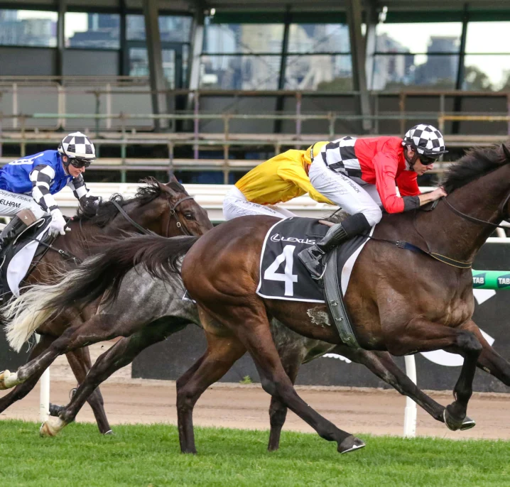 2025 Melbourne Cup Results & Winner- Races.com.au