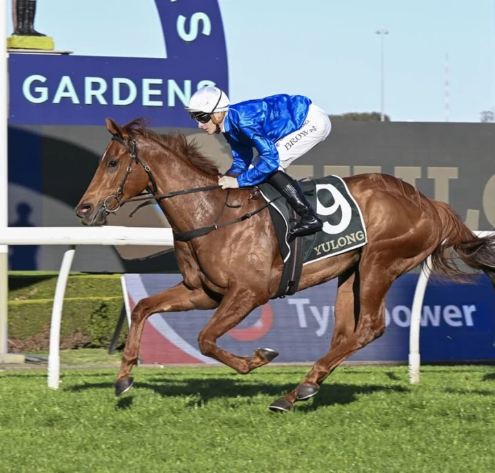 Hawkesbury Racecourse - Country NSW Racing - Hawkesbury Race Club ...