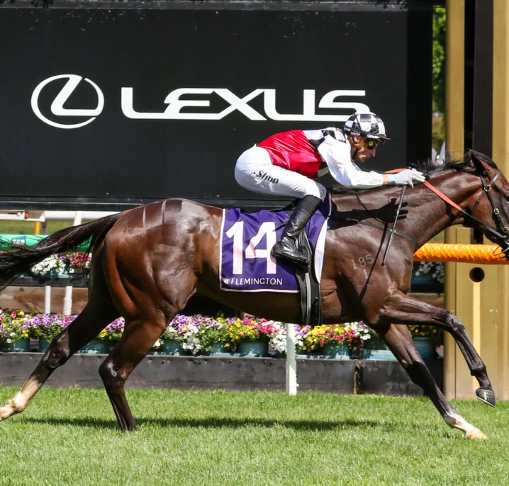 Sydney Spring Racing Carnival 2023 | Group 1 Race Dates - Races.com.au