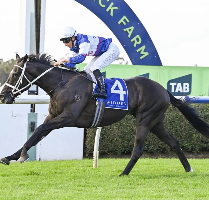 2024 Caulfield Cup Field & Barrier Draw Confirmed: Waller Wins with ...