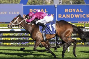 Sydney Spring Racing Carnival 2023 | Group 1 Race Dates - Races.com.au