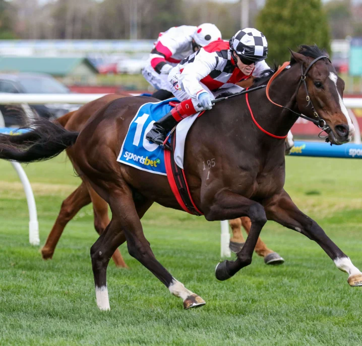 Sydney Spring Racing Carnival 2023 | Group 1 Race Dates - Races.com.au