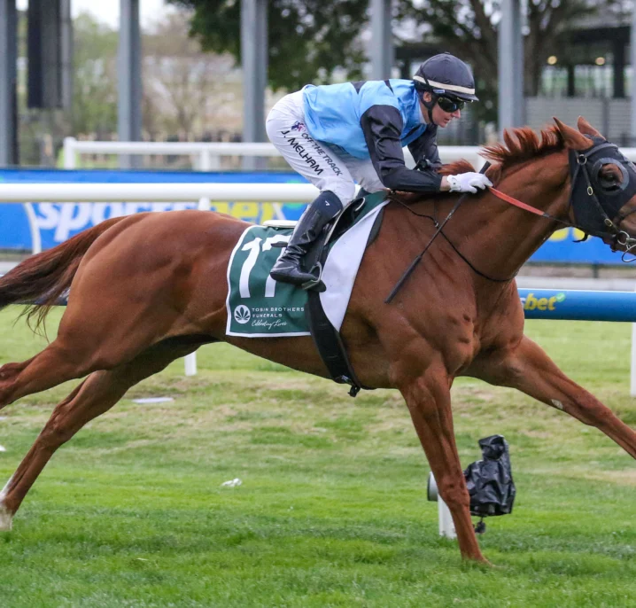 2025 Melbourne Cup Field, Barriers & Odds - Races.com.au