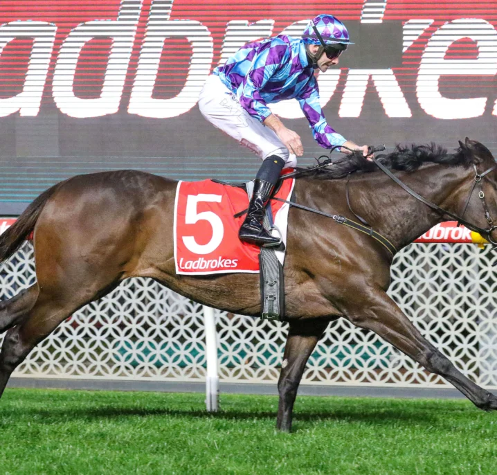 2025 Golden Rose Stakes | Betting & Field | Races.com.au