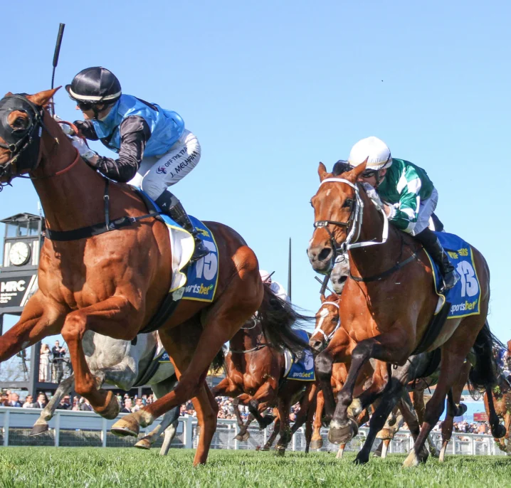2025 Melbourne Cup Field, Barriers & Odds - Races.com.au