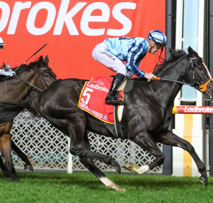 2025 Melbourne Cup Nominations Attract 120 Horses, 19 Internationals ...