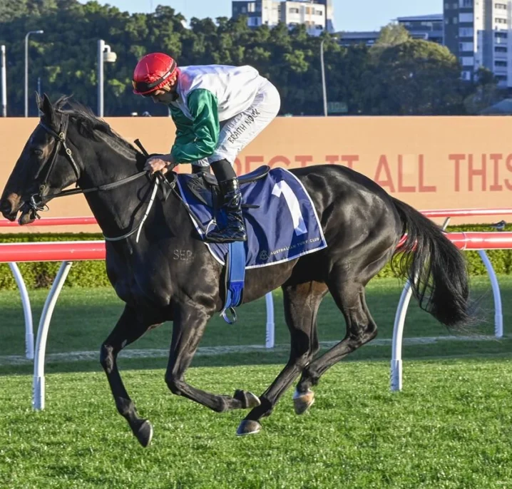 Caulfield Racecourse - Melbourne Racing - Victoria - Races.com.au
