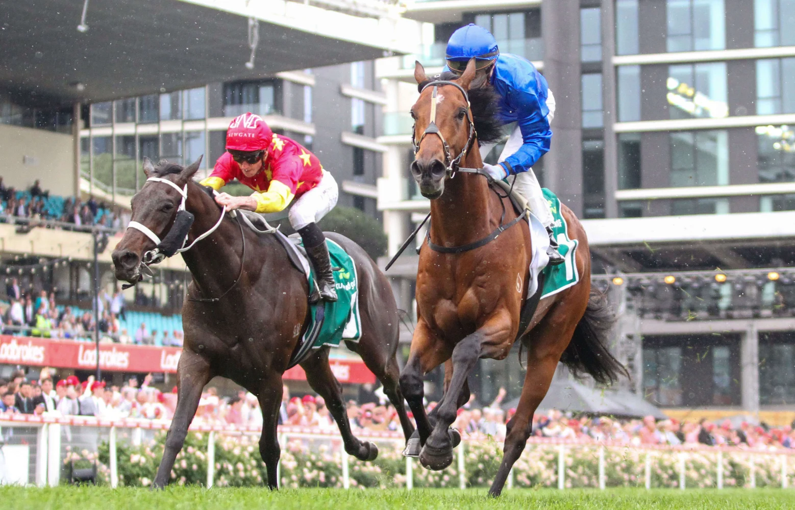 2025 Victoria Derby Form Guide: Two Words on Each Runner - races.com.au