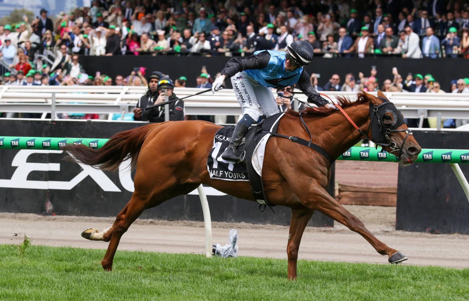 2025 Melbourne Cup Results: Jamie Melham, Half Yours Combine to Create ...