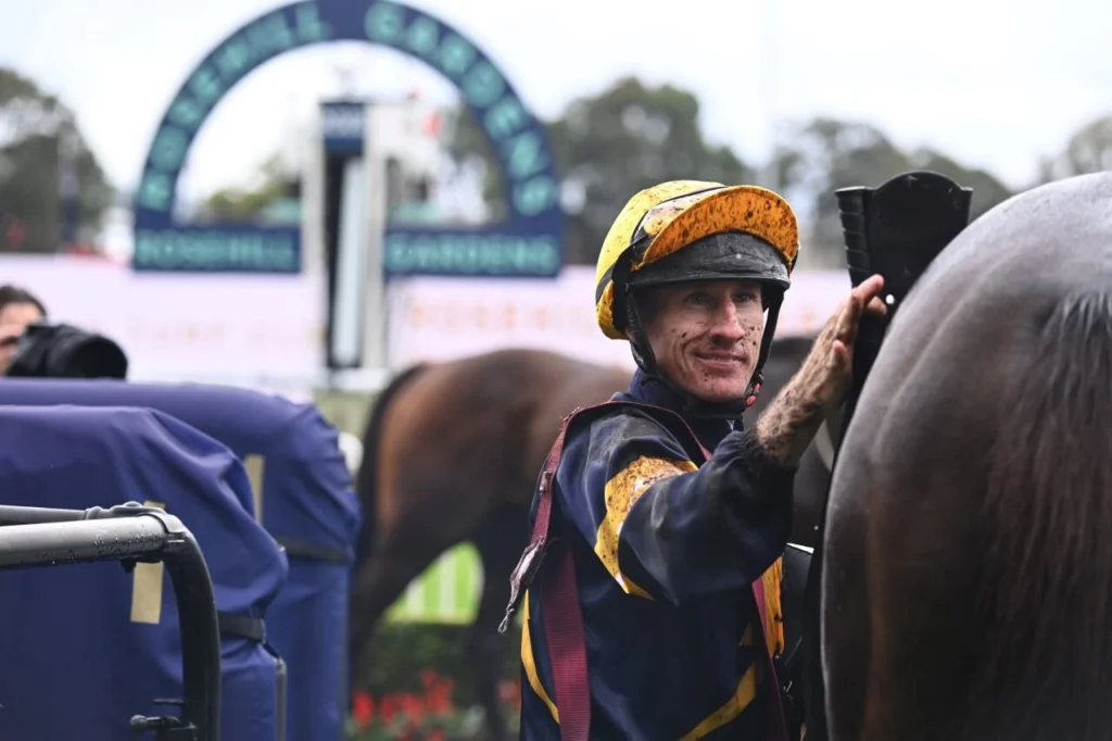 King Of Light Tops 2025 Northerly Stakes Field & Odds - races.com.au