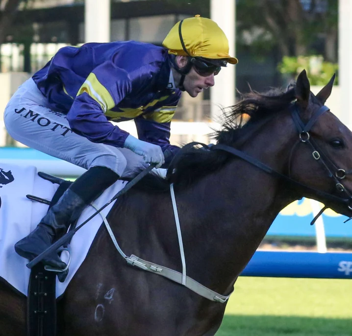 2026 Australia Stakes Field & Betting Update: War Machine Odds-On ...