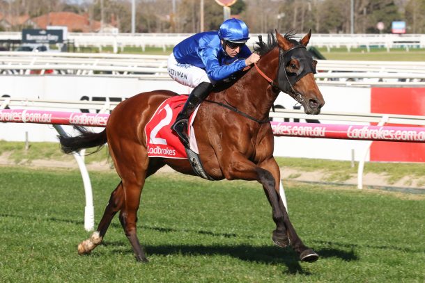 Golden Rose Favourite Bivouac Faces 6 Rivals in San Domenico Field ...