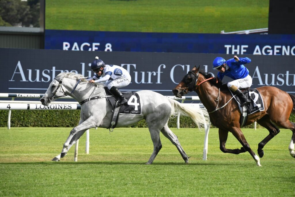 Hawkesbury Racecourse - Country NSW Racing - Hawkesbury Race Club ...