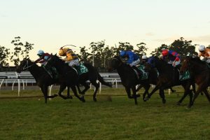 Today's Racing | TAB Horse Racing Fields, Form & Results