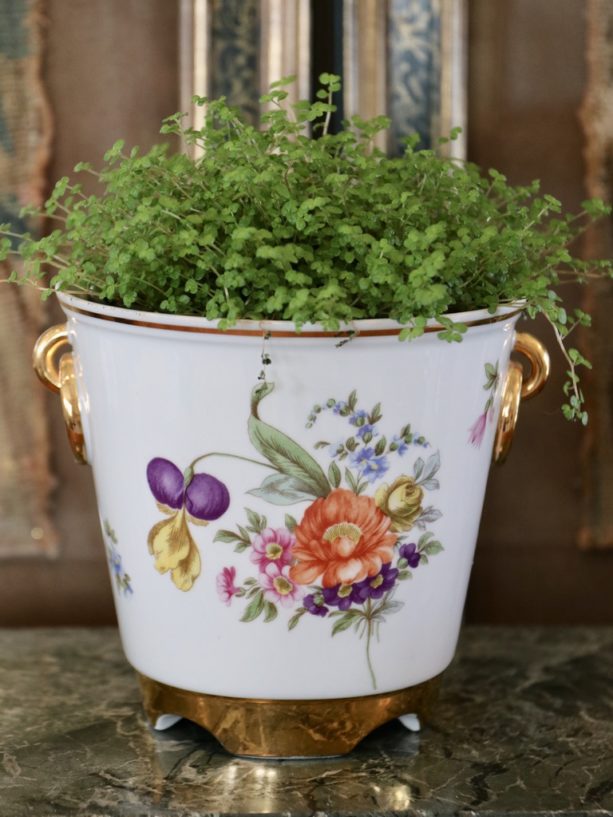 A German Freiberger Porcelain cache pot – European Antiques