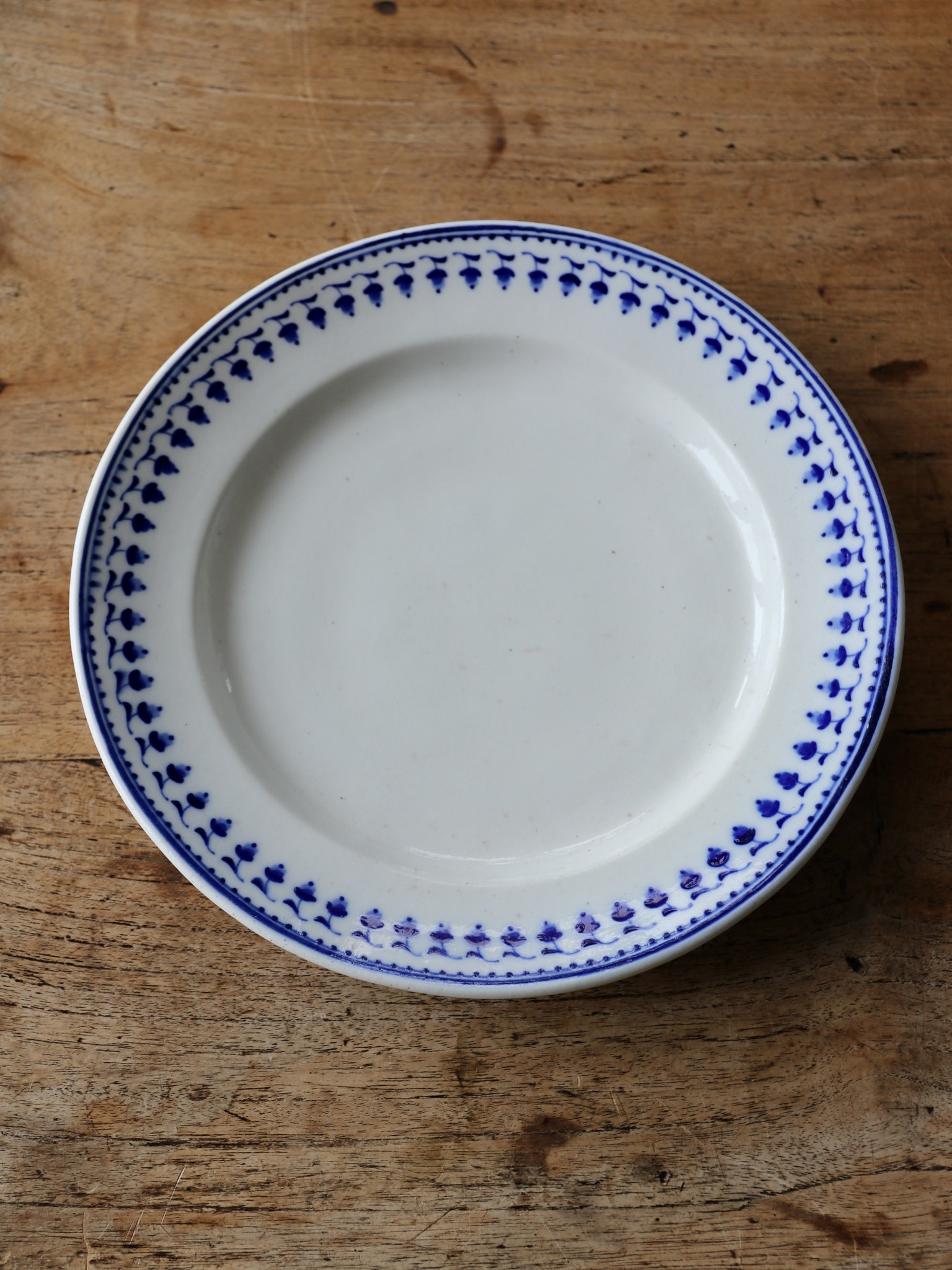 Antique Tournai porcelain plates from Belgium – European Antiques