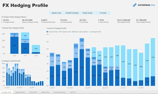 Managing FX Risk with Power BI Analytics